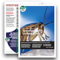 BPCA Pest Prevention Leaflets | Bugs, Bees, Birds, Fleas, Rats & More