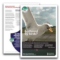 BPCA Pest Prevention Leaflets | Bugs, Bees, Birds, Fleas, Rats & More