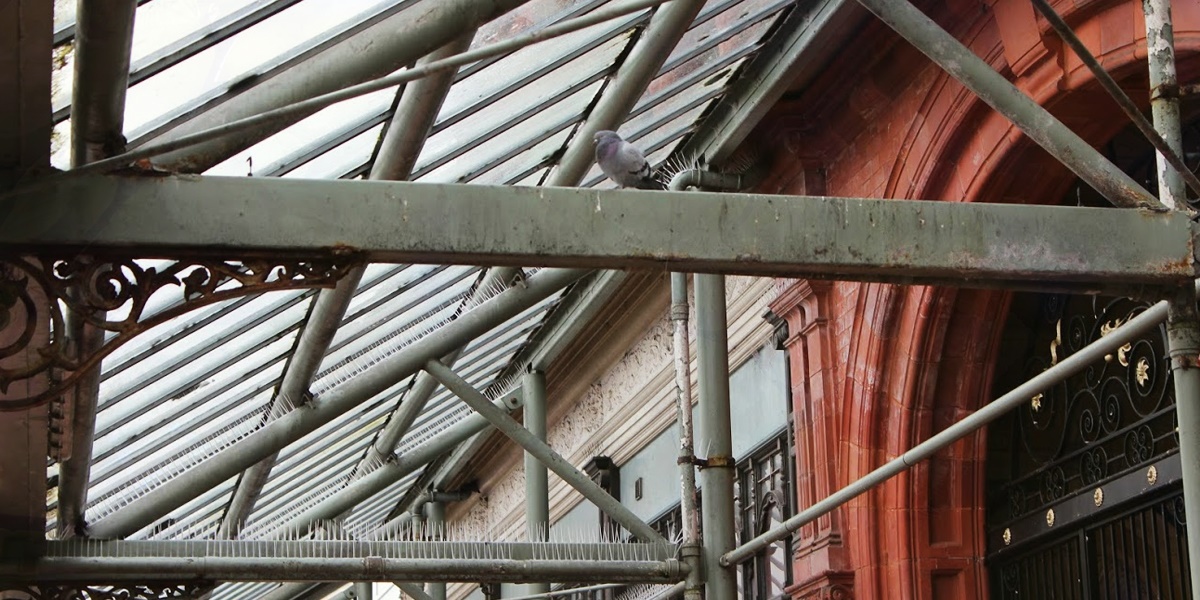 Green pest control - Integrated Pest Management (IPM)