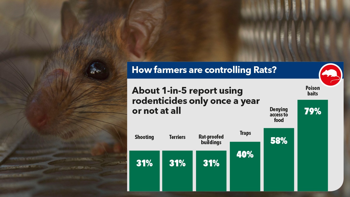 40% of farmers still consider permanent rodenticide baiting essential
