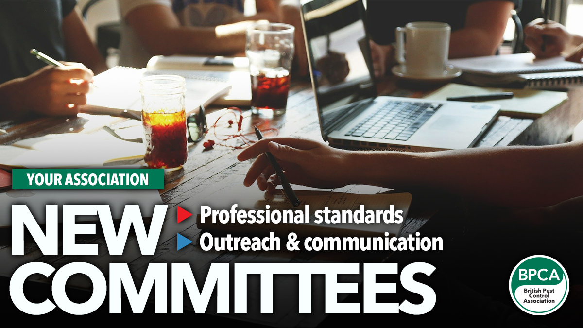 JOIN IN: Two new BPCA Committees now recruiting