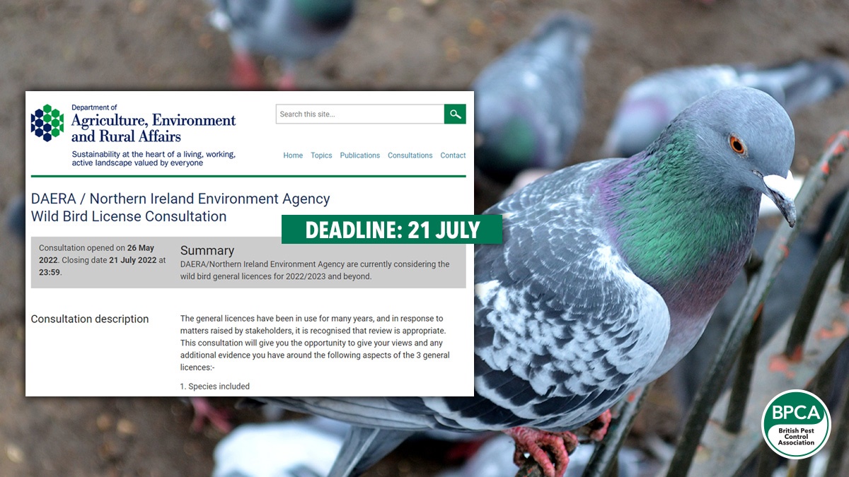 Daera reopen Northern Ireland Wild Bird Licence Consultation