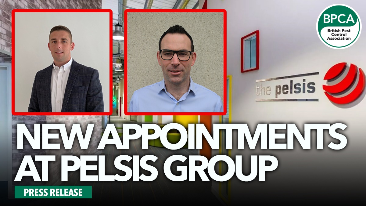 New appointments at Pelsis Group