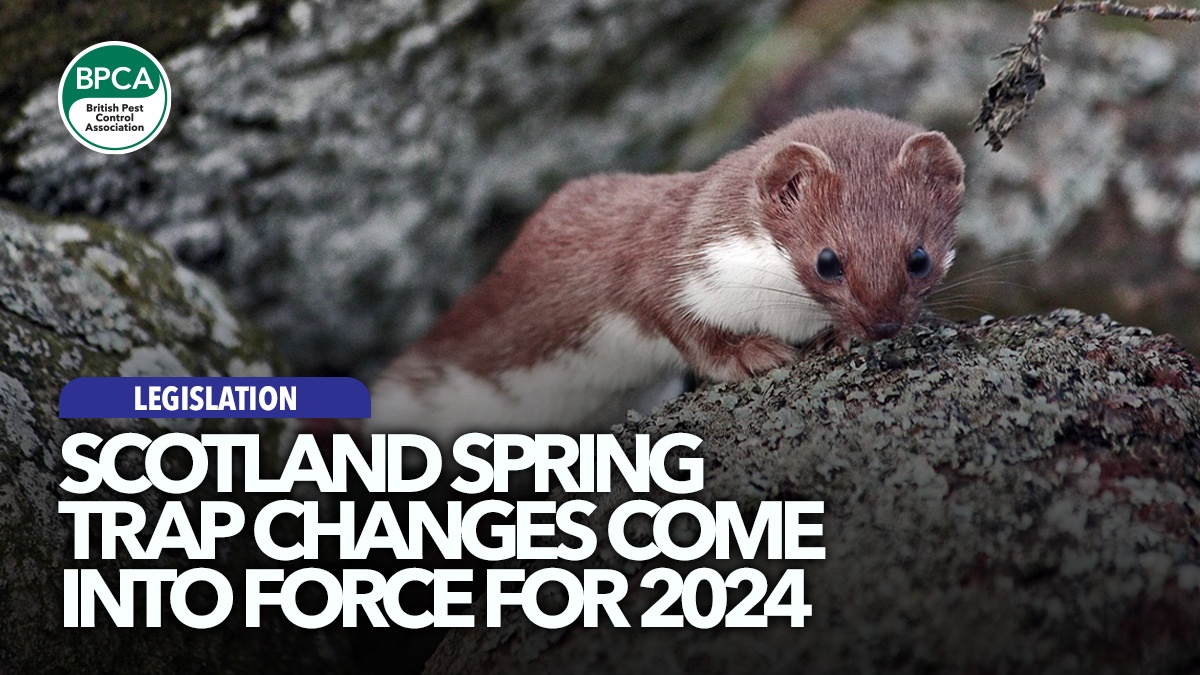 Scotland spring trap changes come into force for 2024