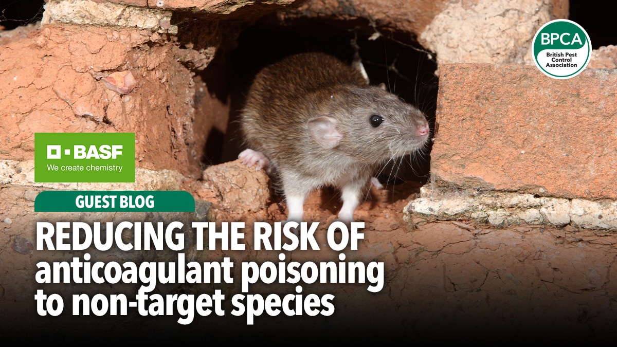 BASF: Reducing the risk of anticoagulant poisoning to non-target species