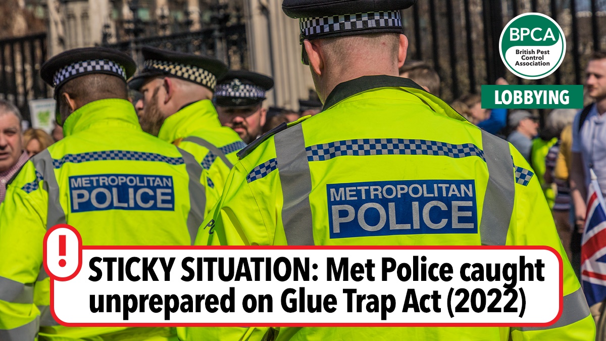 Sticky situation: Met Police caught unprepared on Glue Trap law