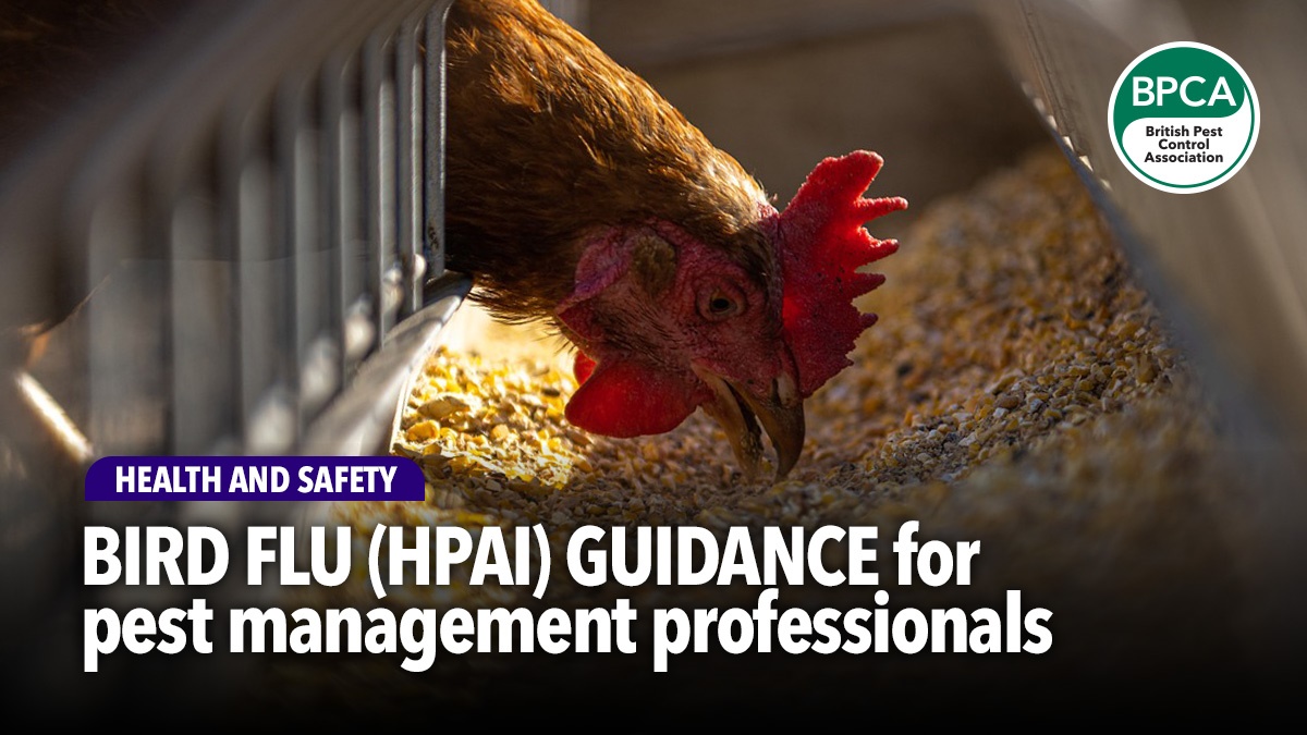 Bird flu (HPAI) guidance for pest management professionals