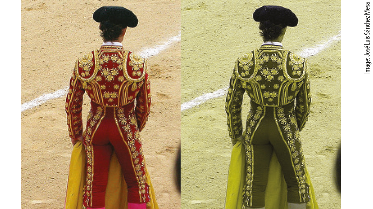 Fly's eye view: Sleeping sickness control