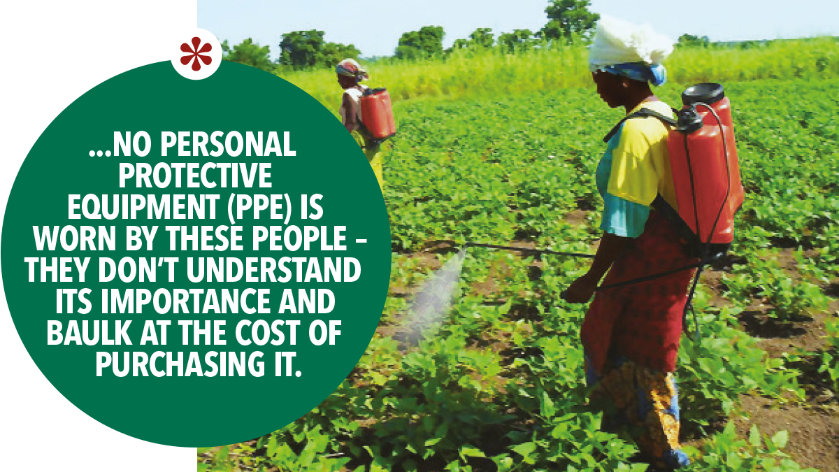 Pest management in developing countries: A view from Ghana