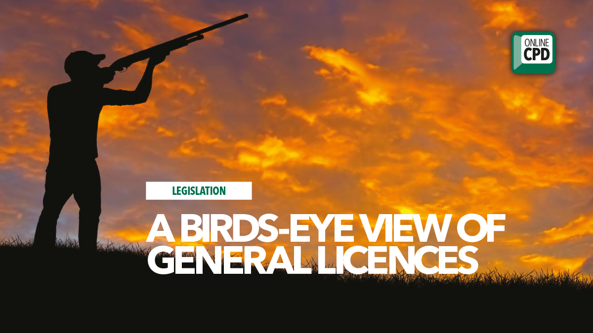 A birds-eye view of general licences