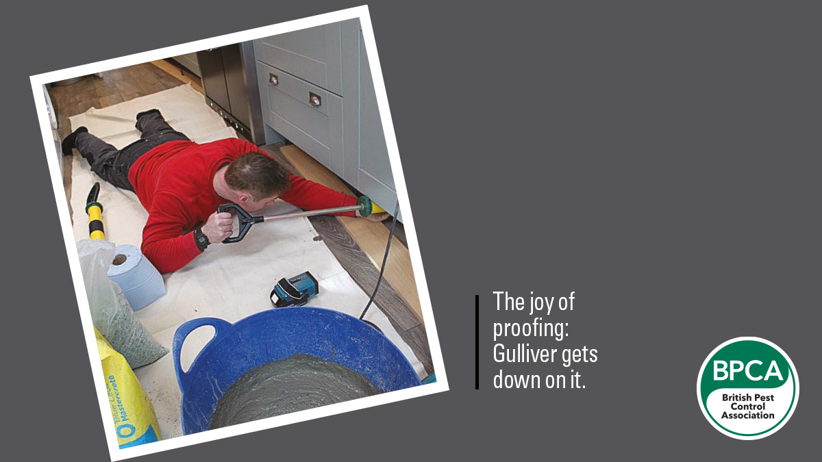 Current pest proofing products: applications and limitations