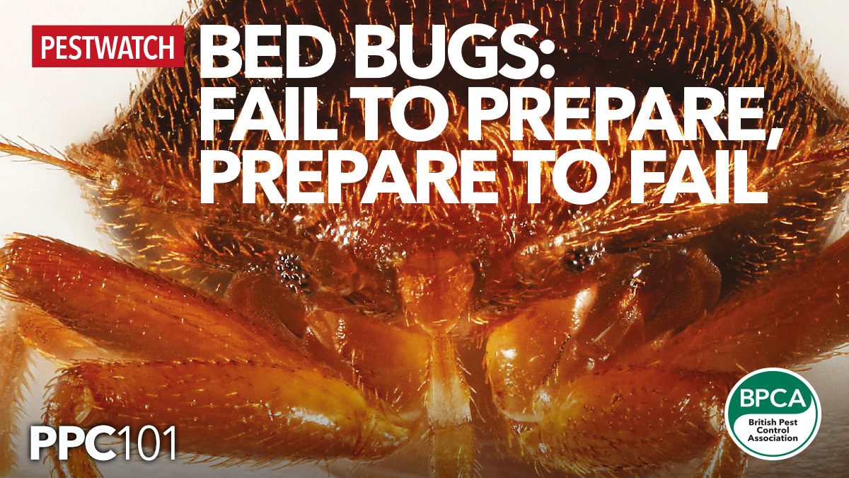 PESTWATCH: Bed bugs - fail to prepare, prepare to fail