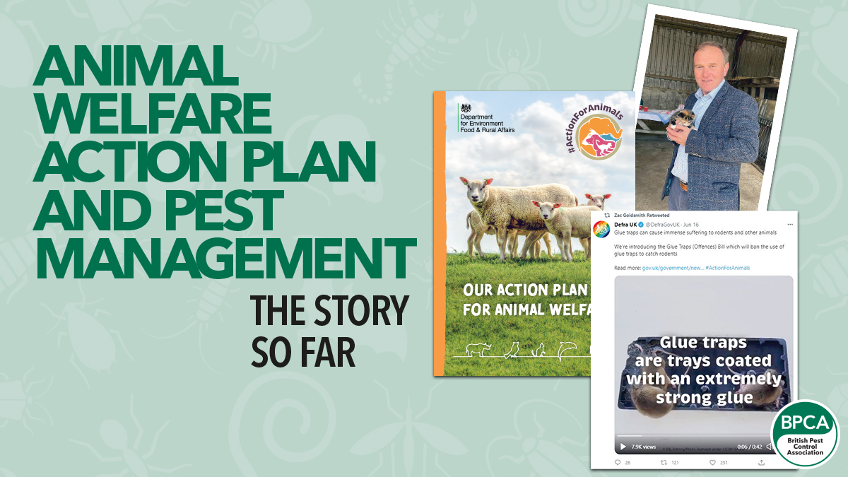 Animal Welfare Action Plan and pest management