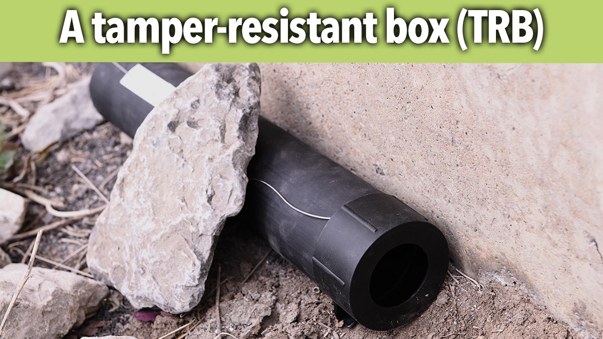 Rodent baiting for pest controllers and environmental impact