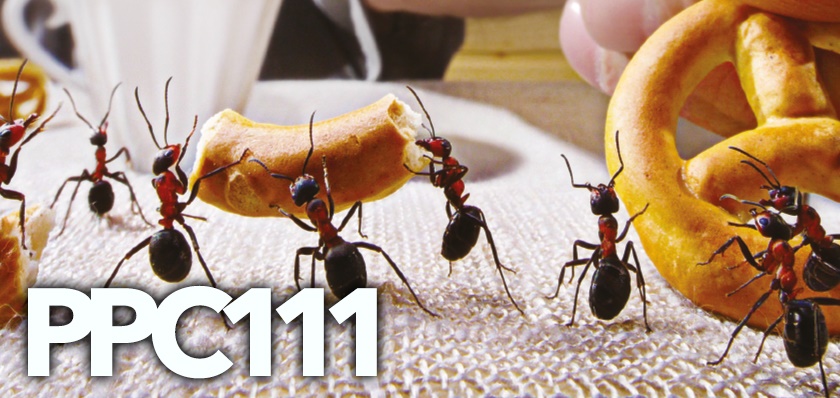 The British Pest Control Association (BPCA)