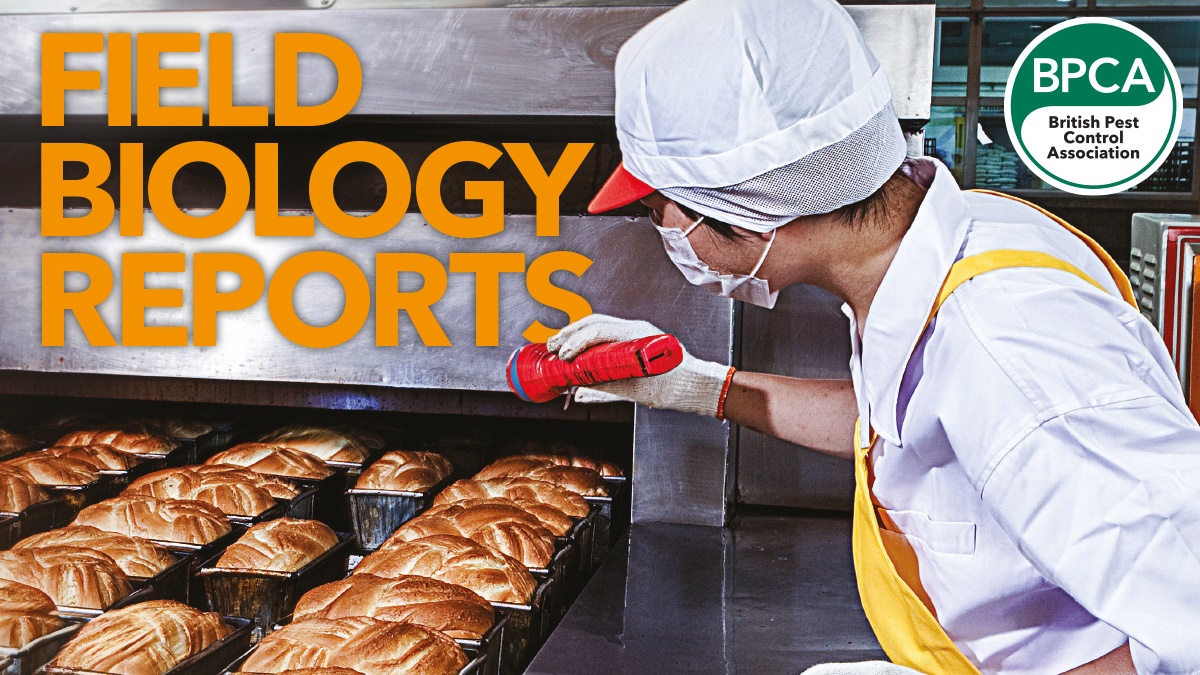 How to write perfect pest management field biology reports