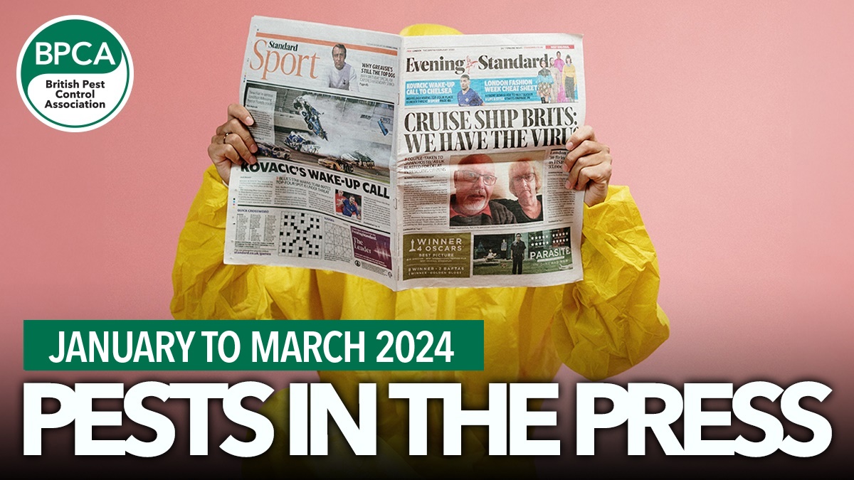 Pests in the press: January to March 2024