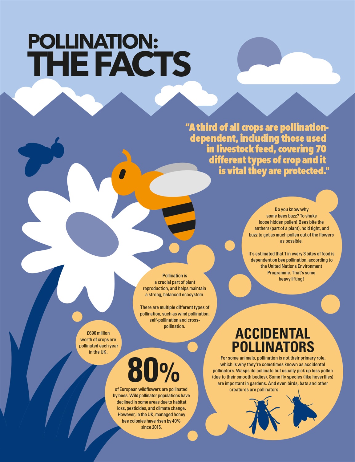 INFOGRAPHIC: Pollination: the facts
