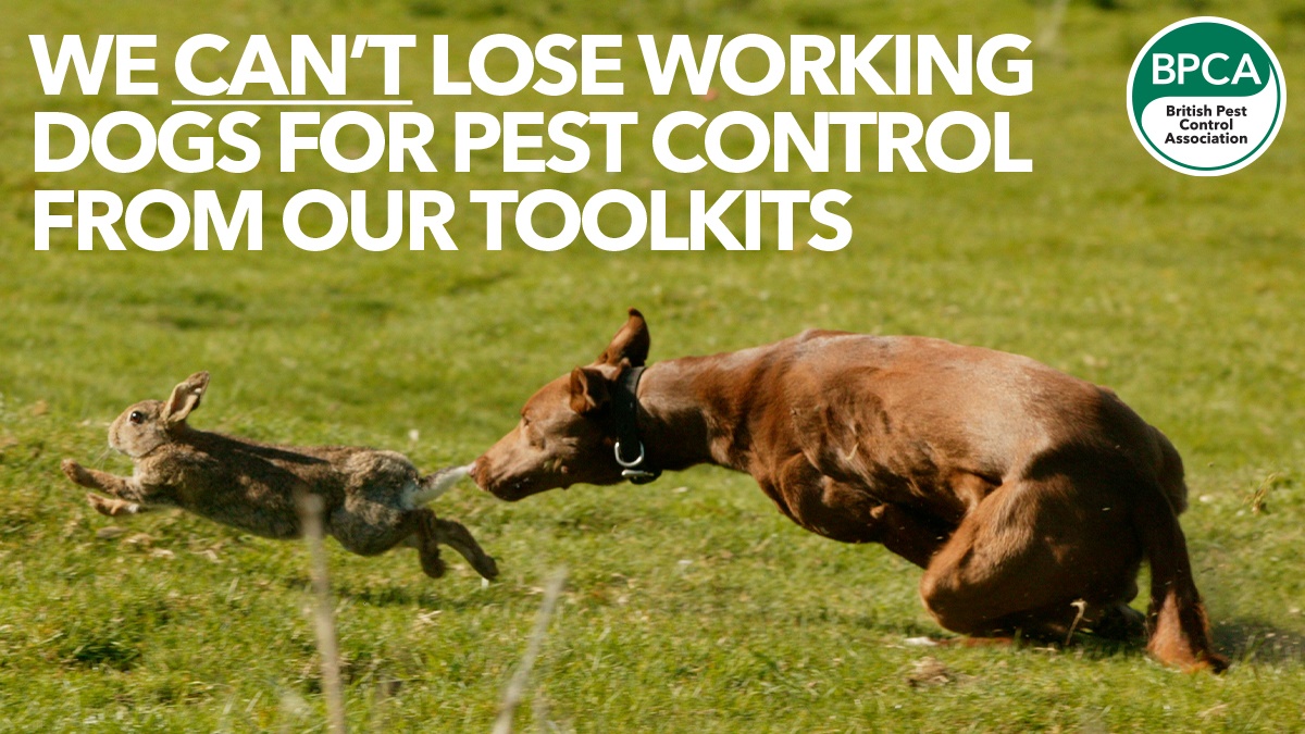 We can’t lose working dogs for pest control from our toolkits