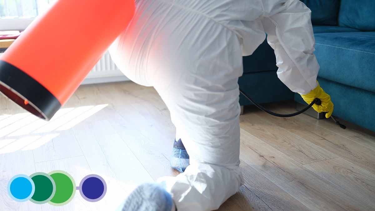 All Pest Management Training, Education and Qualifications | BPCA