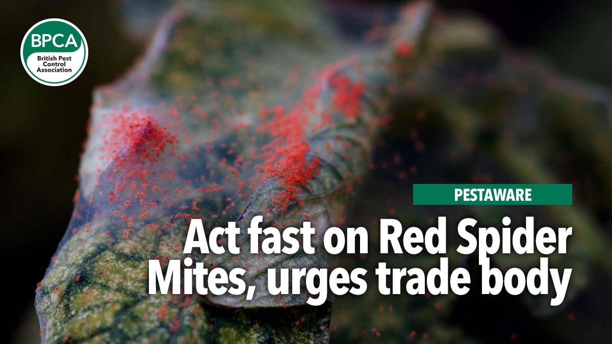 Act fast on Red Spider Mites, urges trade body