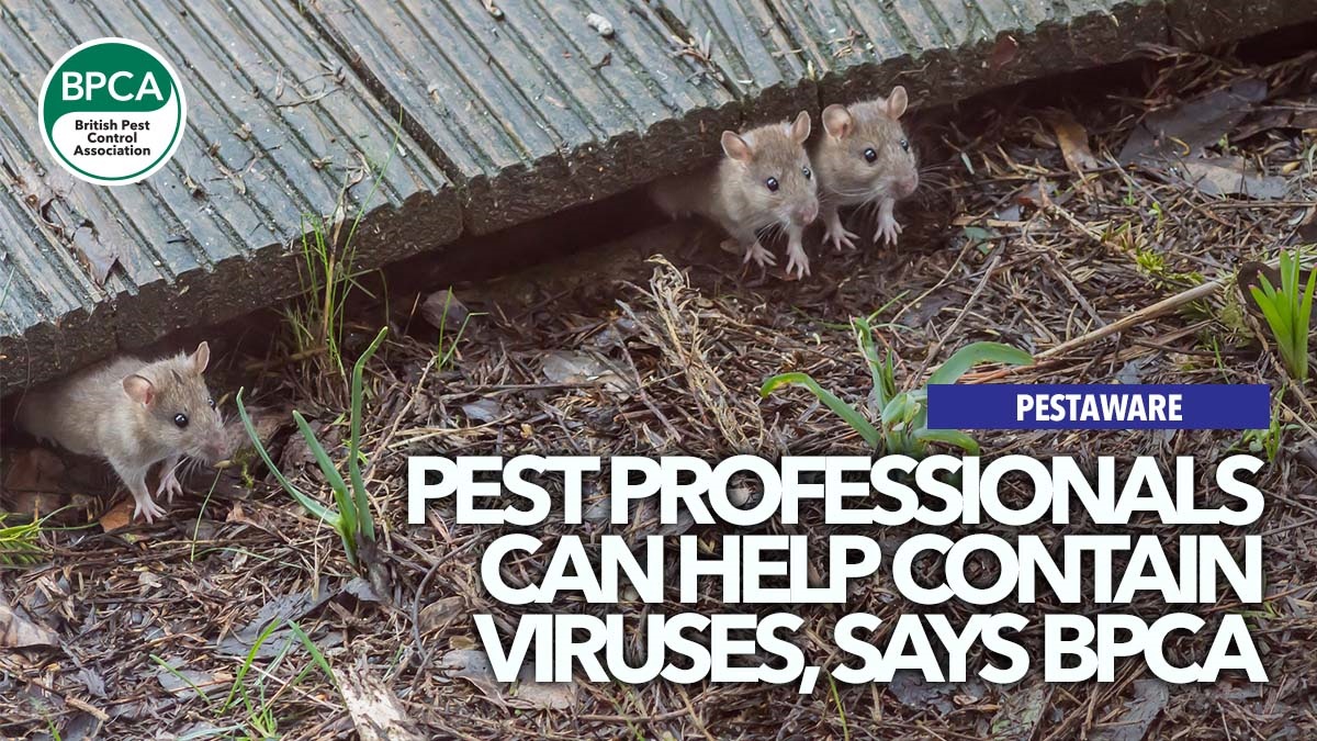 Pest professionals can help contain viruses, says BPCA